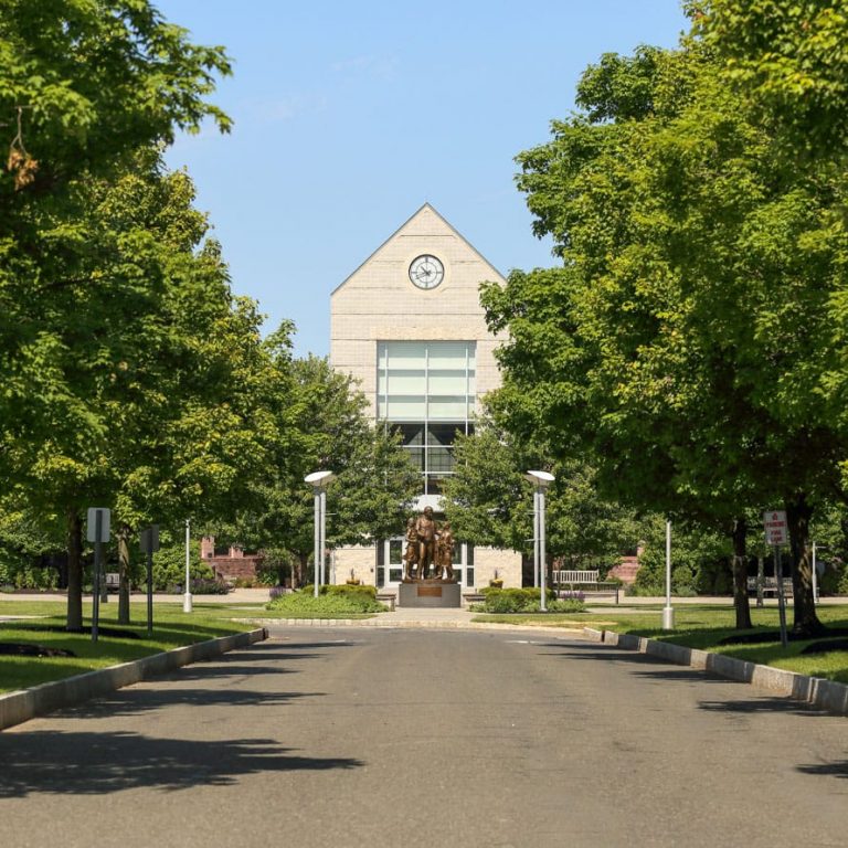Fun, Friendships and Unforgettable Experiences | Pingry Summer Camp